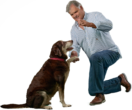 Home - SPCA Tampa Bay