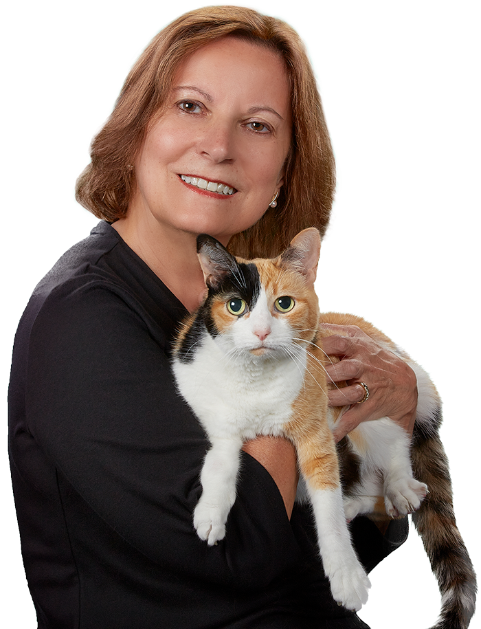 Home - SPCA Tampa Bay